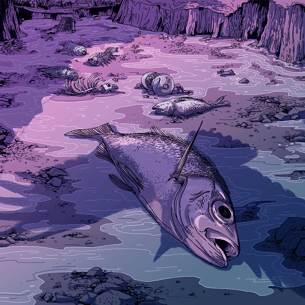 “Moon of the Disappearing Water” by Deborah Jackson Taffa | The Spectacle